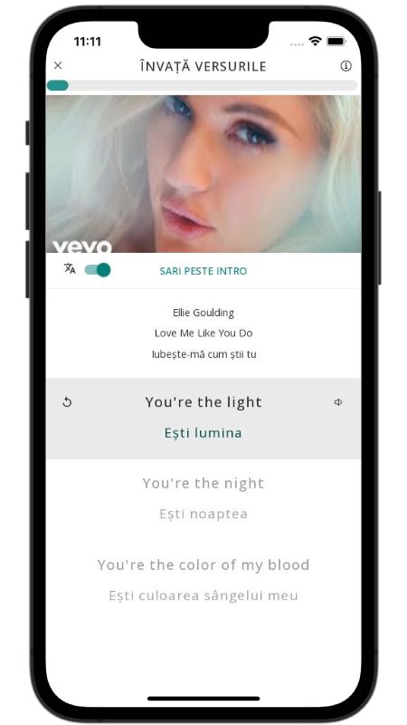 Ellie Goulding Love Me Like You Do Lyrics Romanian Translation